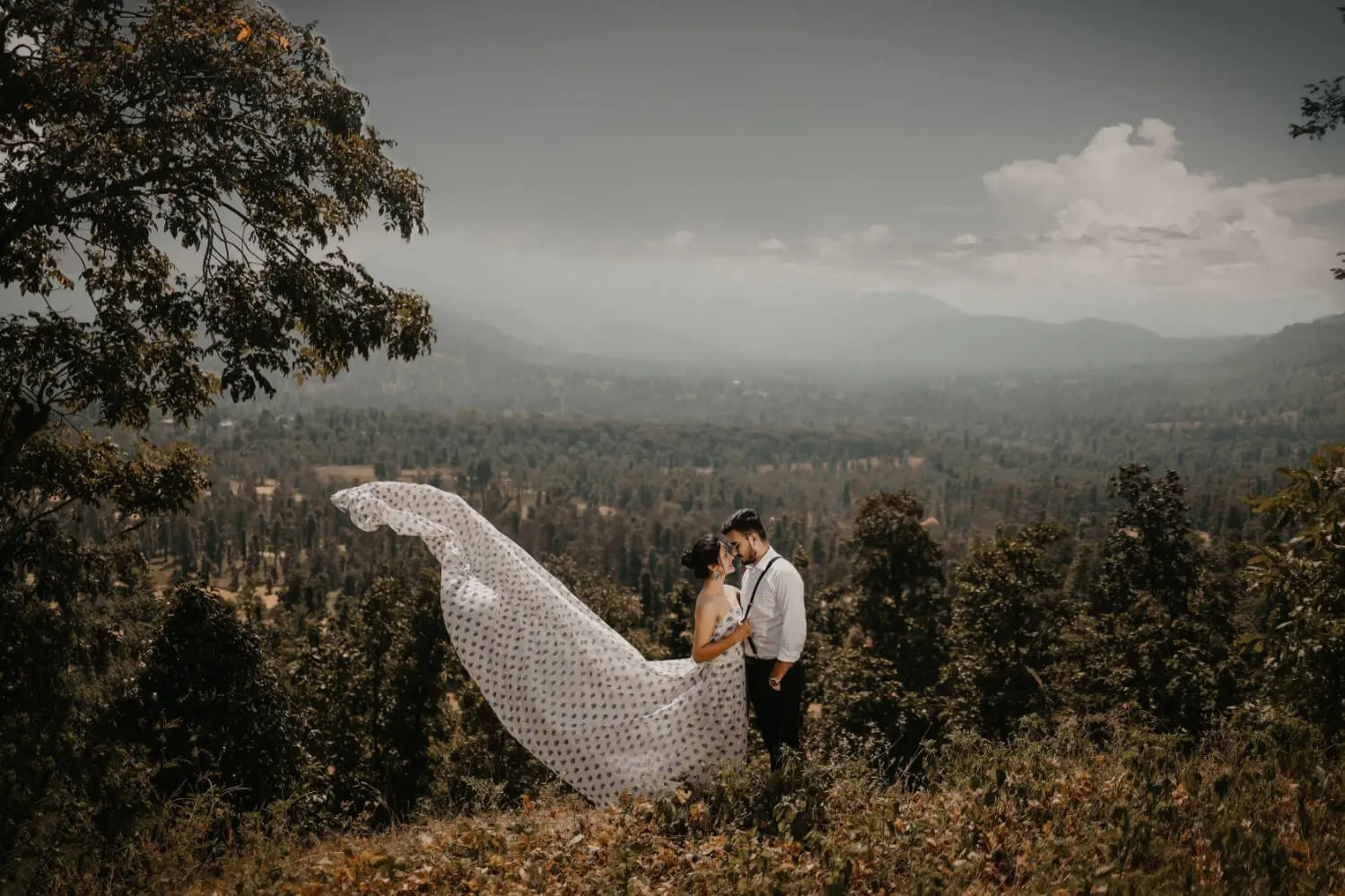 Color Grading – Photogeices